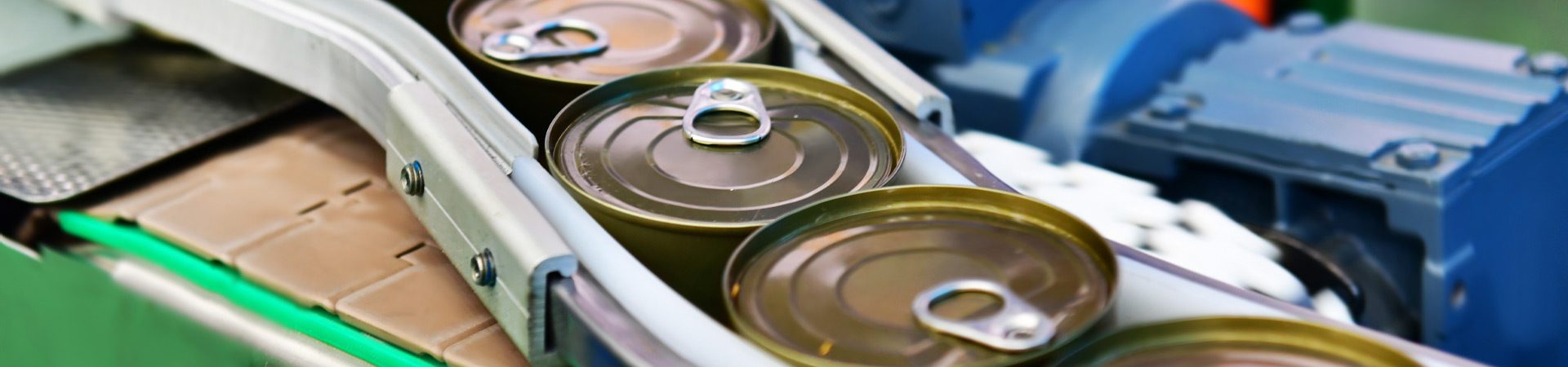 Pantry Pests and How to Deal With Them