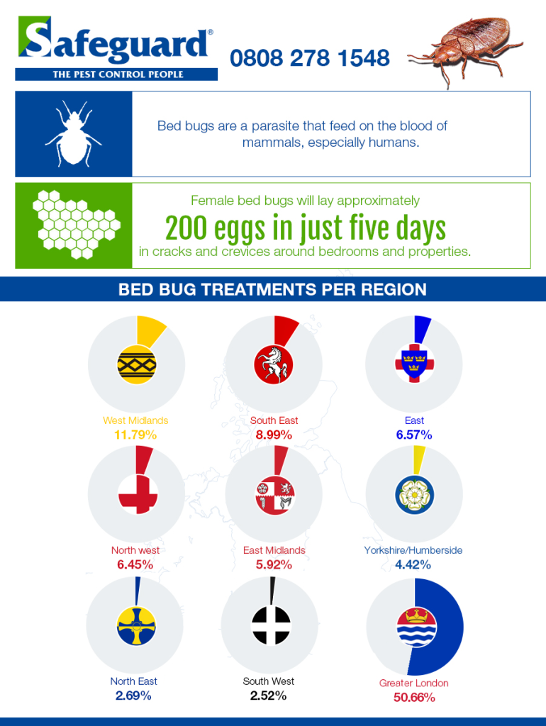 Bed Bugs – Household Pests Infographic