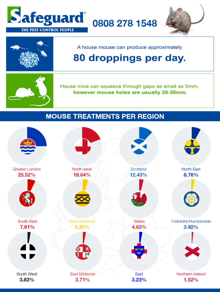Mice – Household Pest Control Infographic