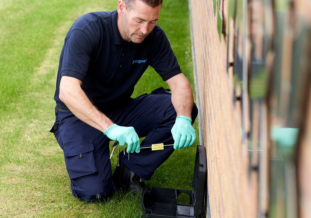 Monthly Pest Control Services | Affordable & Professional