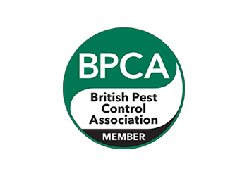 Why Choose Safeguard Pest Control
